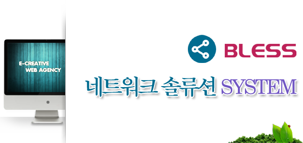 블레스 네트워크솔류션